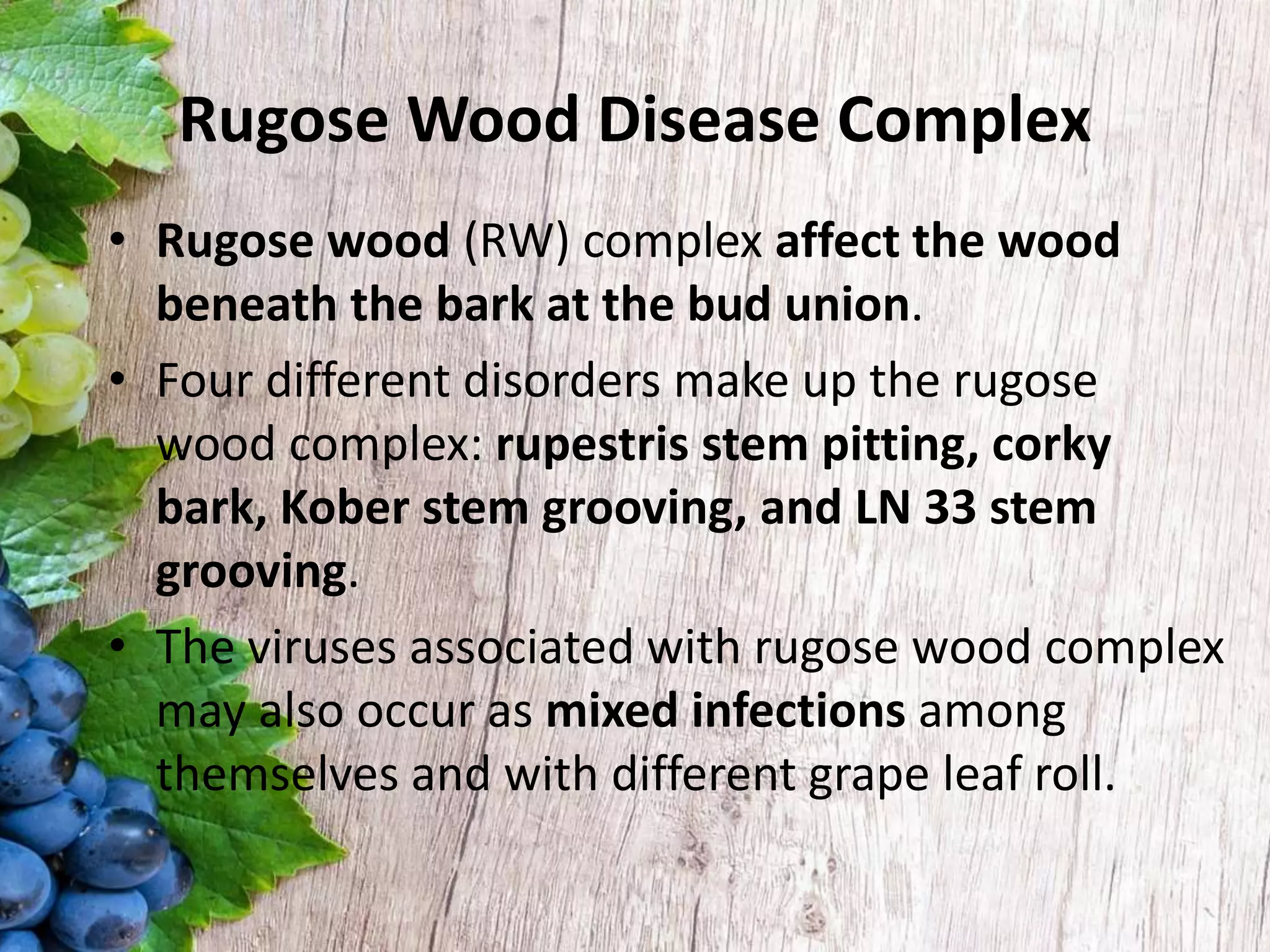 Grapevine Major Viral diseases | PPTX