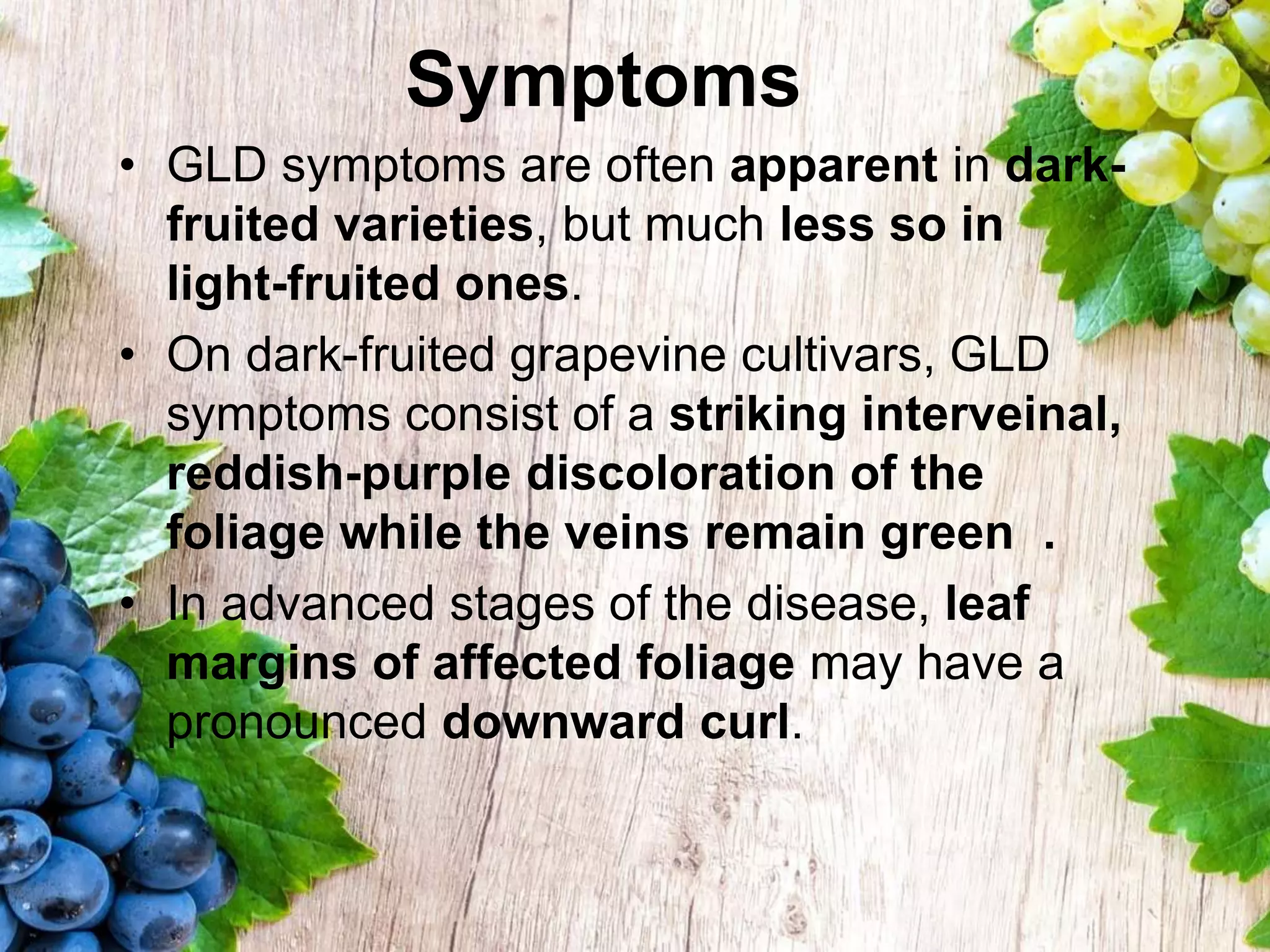 Grapevine Major Viral diseases | PPTX