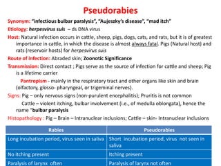 Viral diseases.pptx