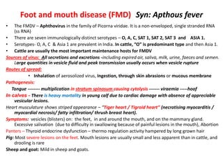 Viral diseases.pptx
