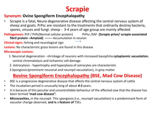 Viral diseases.pptx