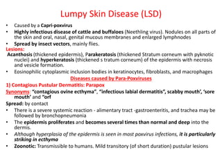 Viral diseases.pptx