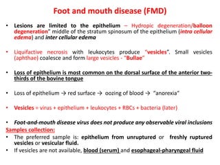 Viral diseases.pptx