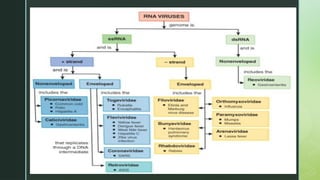 viral diseases (1).pptx in children and its oral manifestation | PPTX