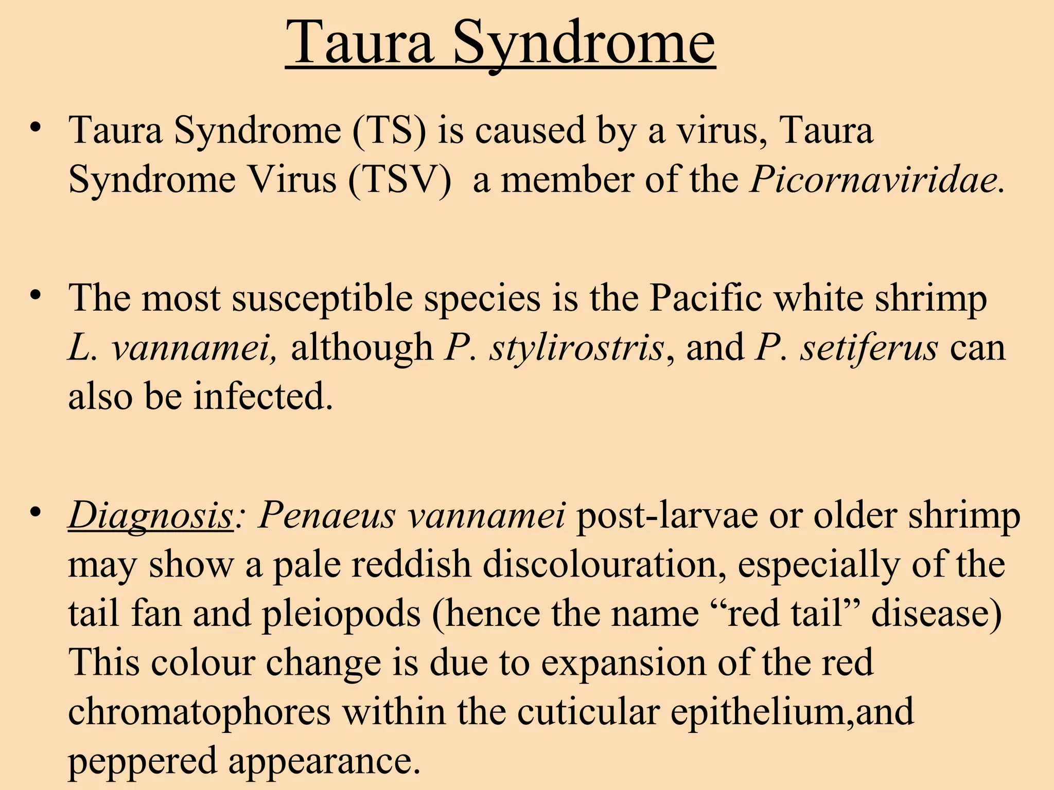 Viral diseases in crustaceans | PPT