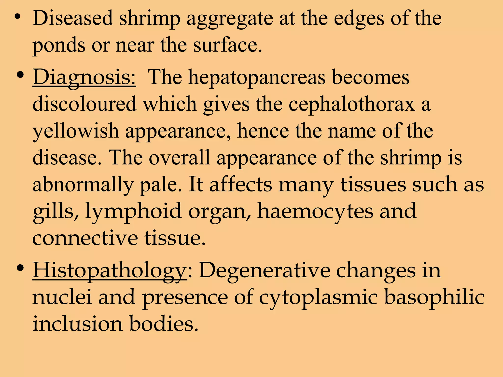 Viral diseases in crustaceans | PPT
