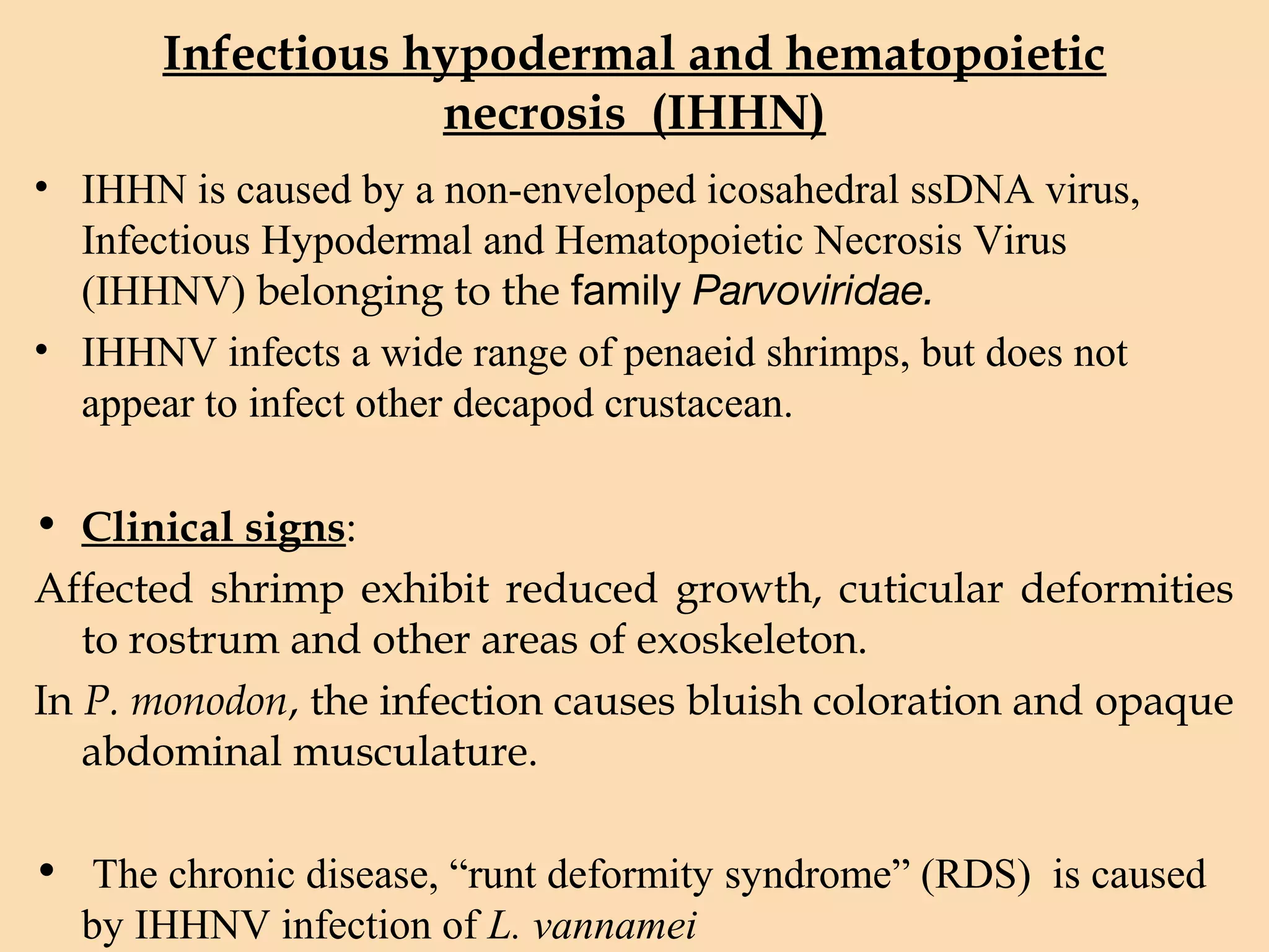 Viral diseases in crustaceans | PPT