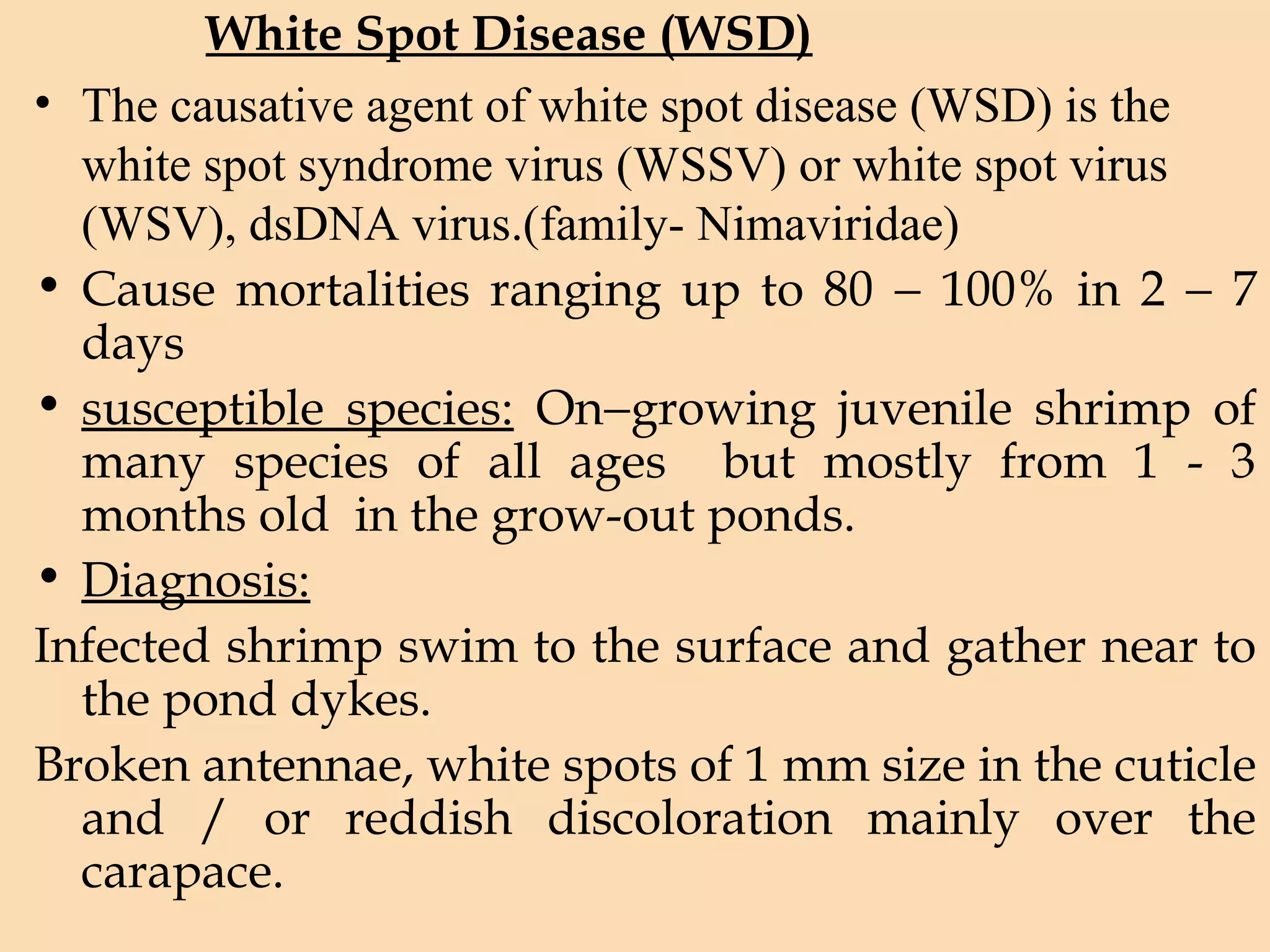 Viral diseases in crustaceans | PPT