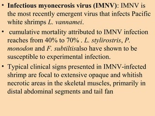 Viral diseases in crustaceans | PPT