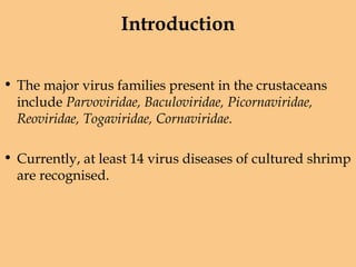 Viral diseases in crustaceans | PPT