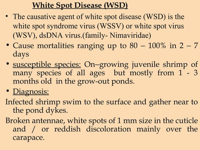 Viral diseases in crustaceans | PPT | Biological Sciences | Science