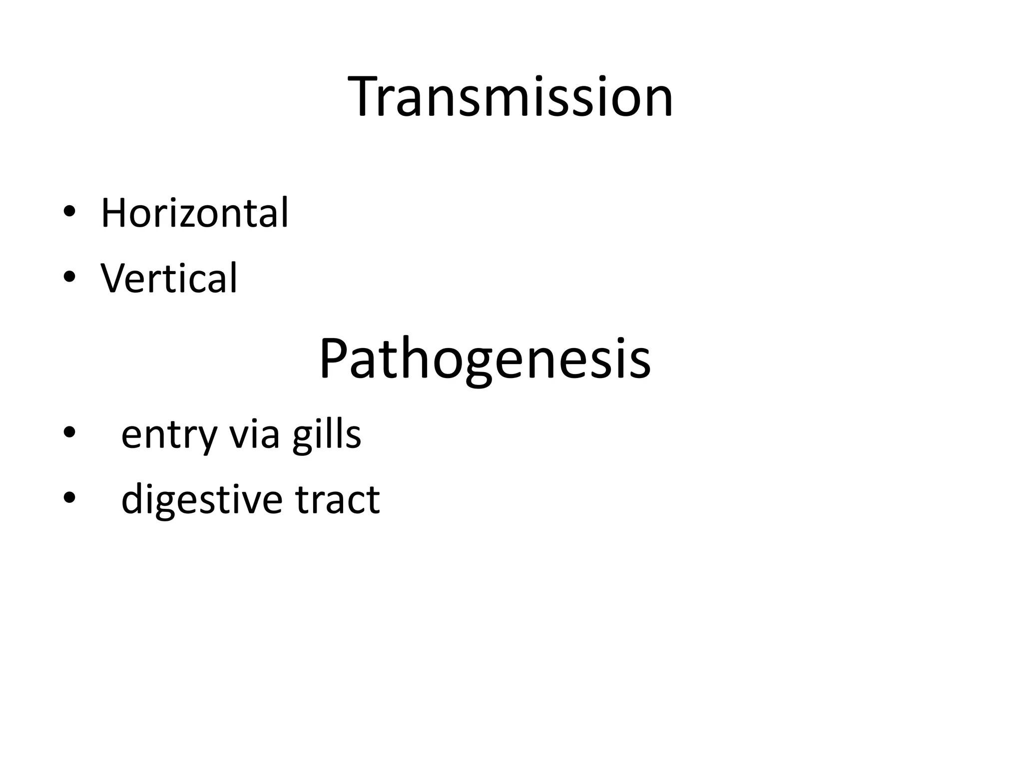 Viral diseases in fishes | PPTX