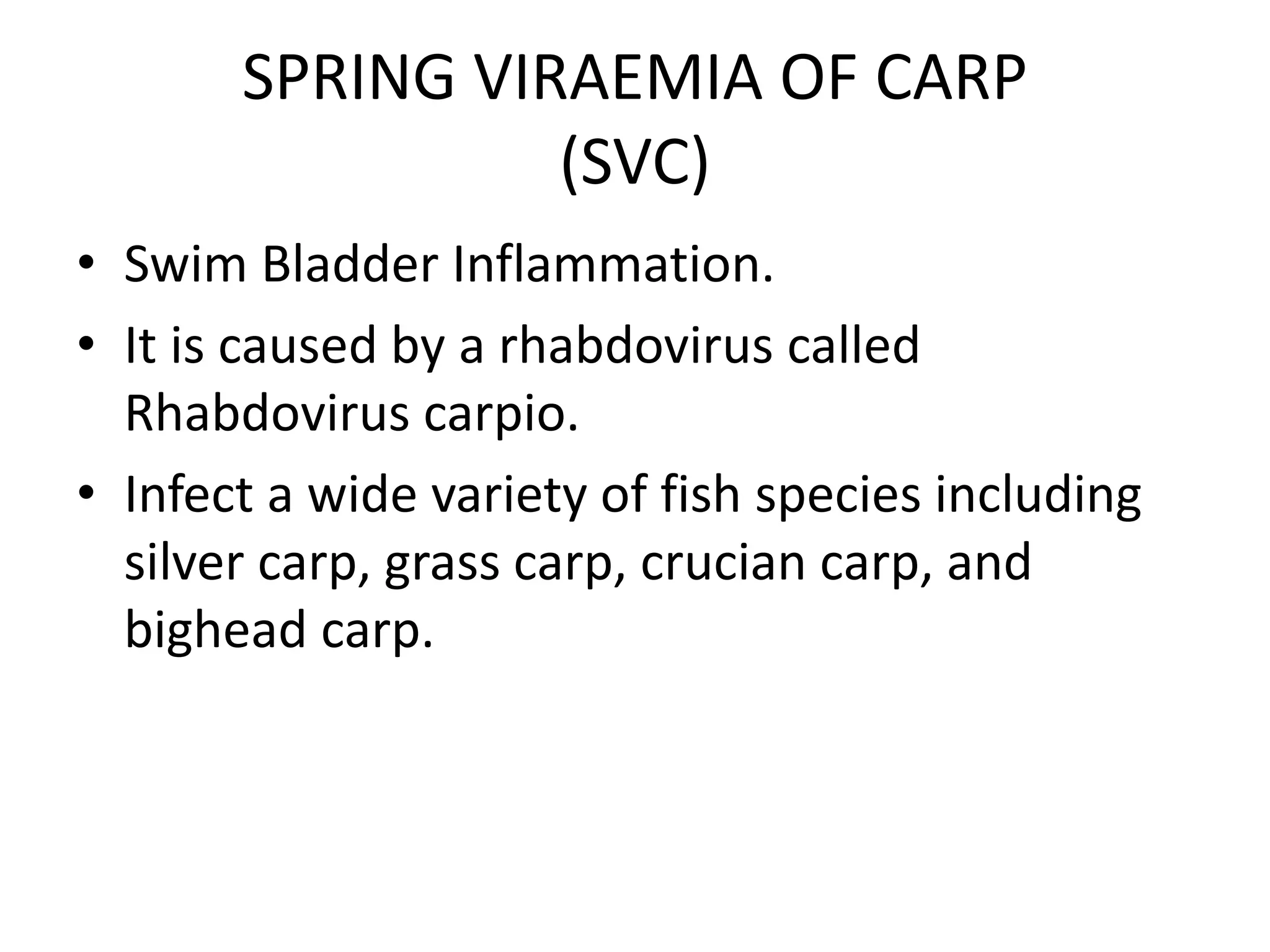 Viral diseases in fishes | PPTX