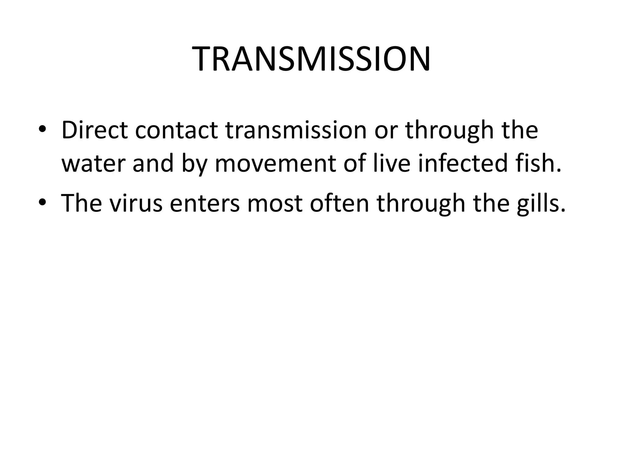 Viral diseases in fishes | PPTX
