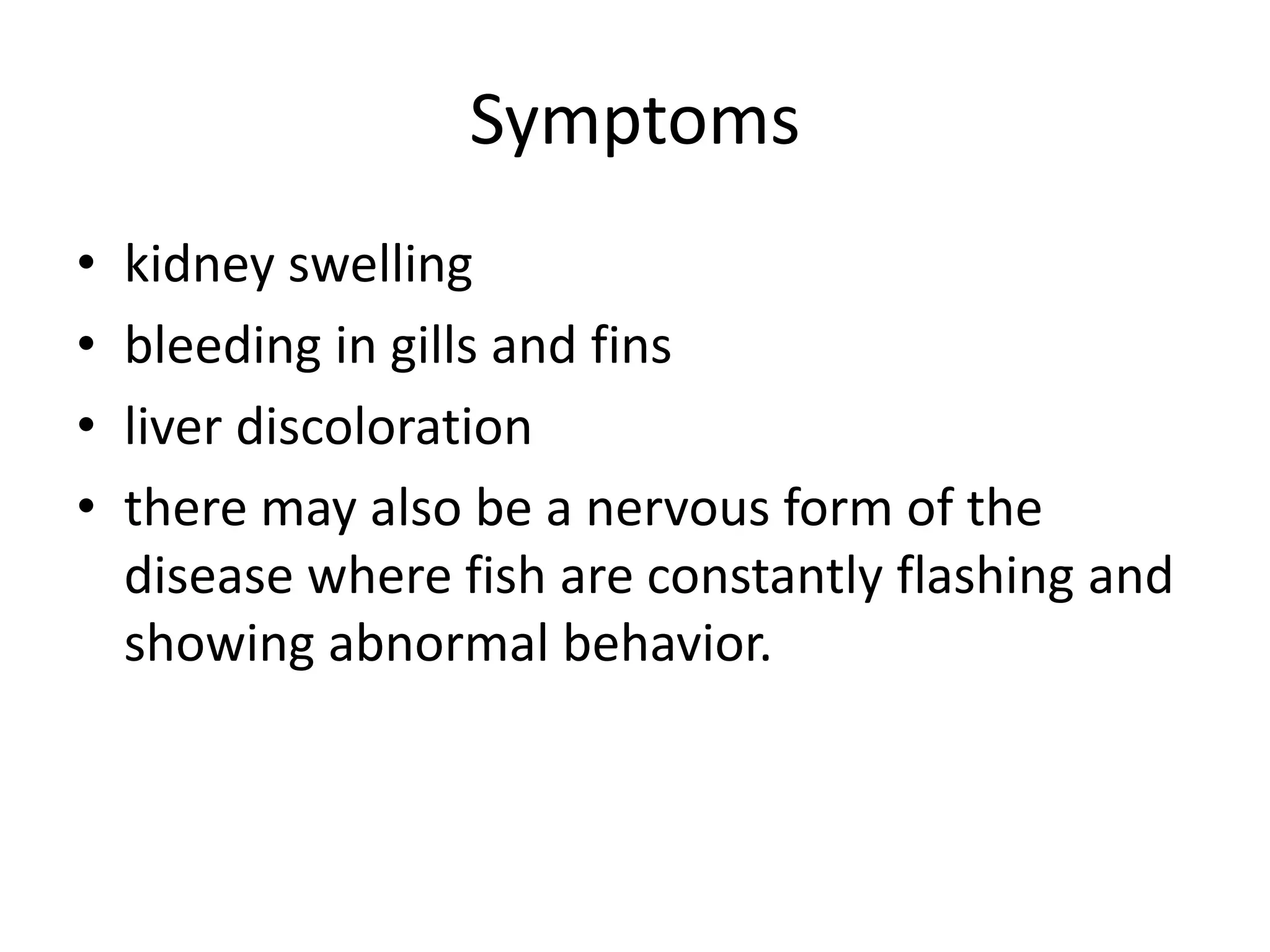 Viral diseases in fishes | PPTX