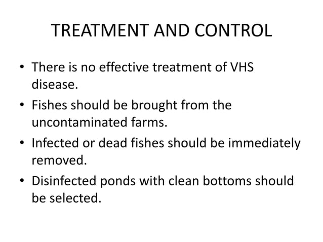 Viral diseases in fishes | PPTX