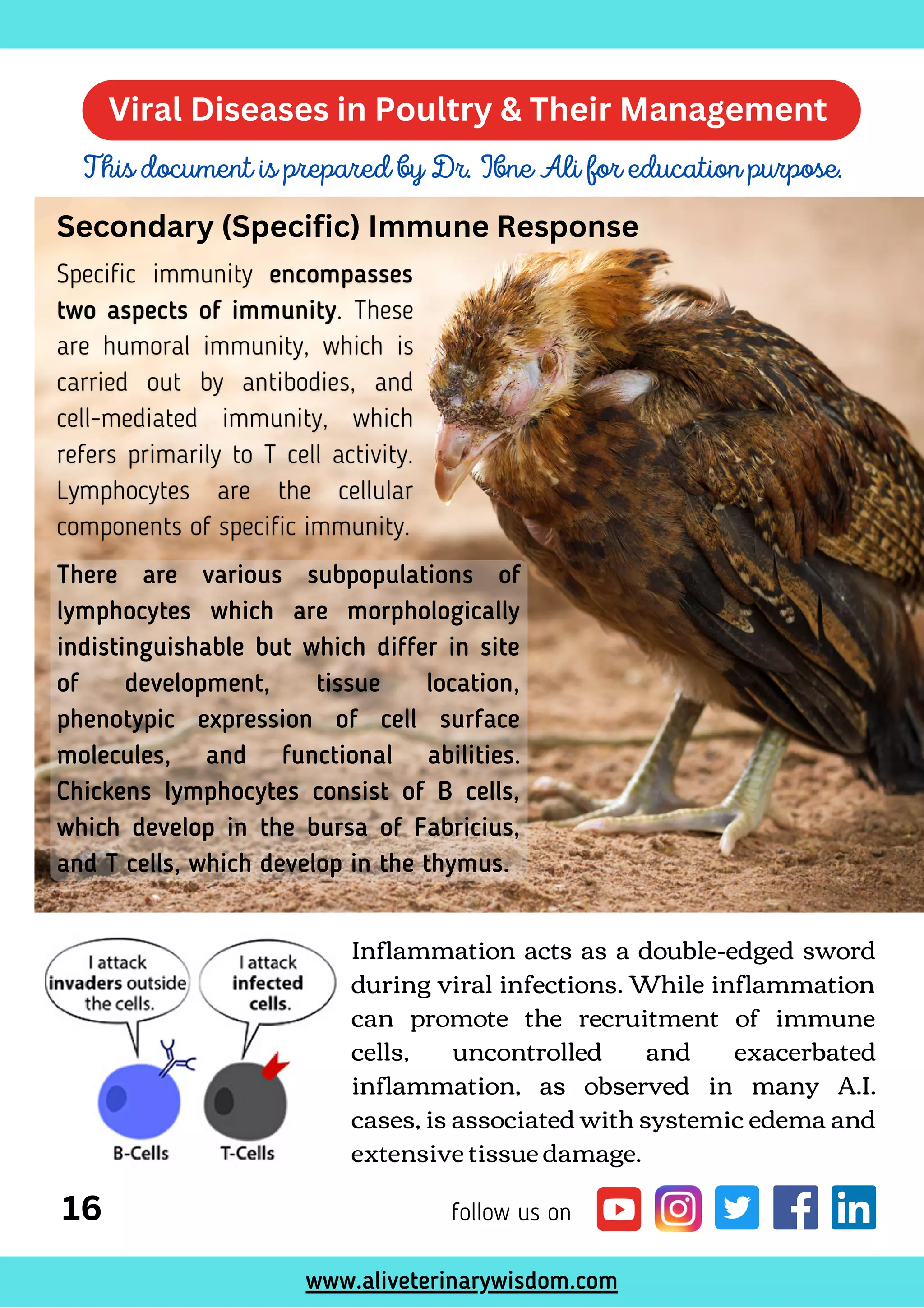Viral Diseases in Poultry & Their Management.pdf
