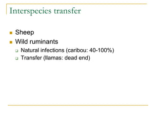Viral diseases in ruminant | PDF