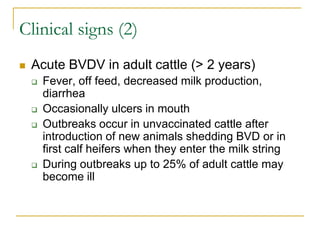 Viral diseases in ruminant | PDF