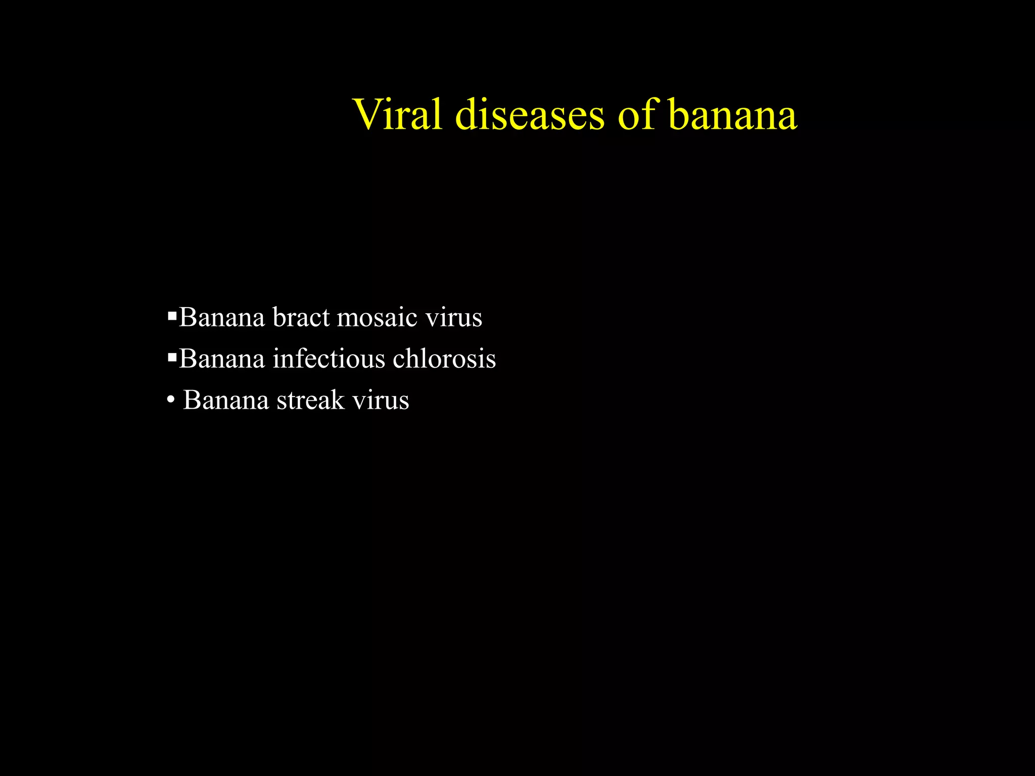 Viral diseases of banana | PPTX