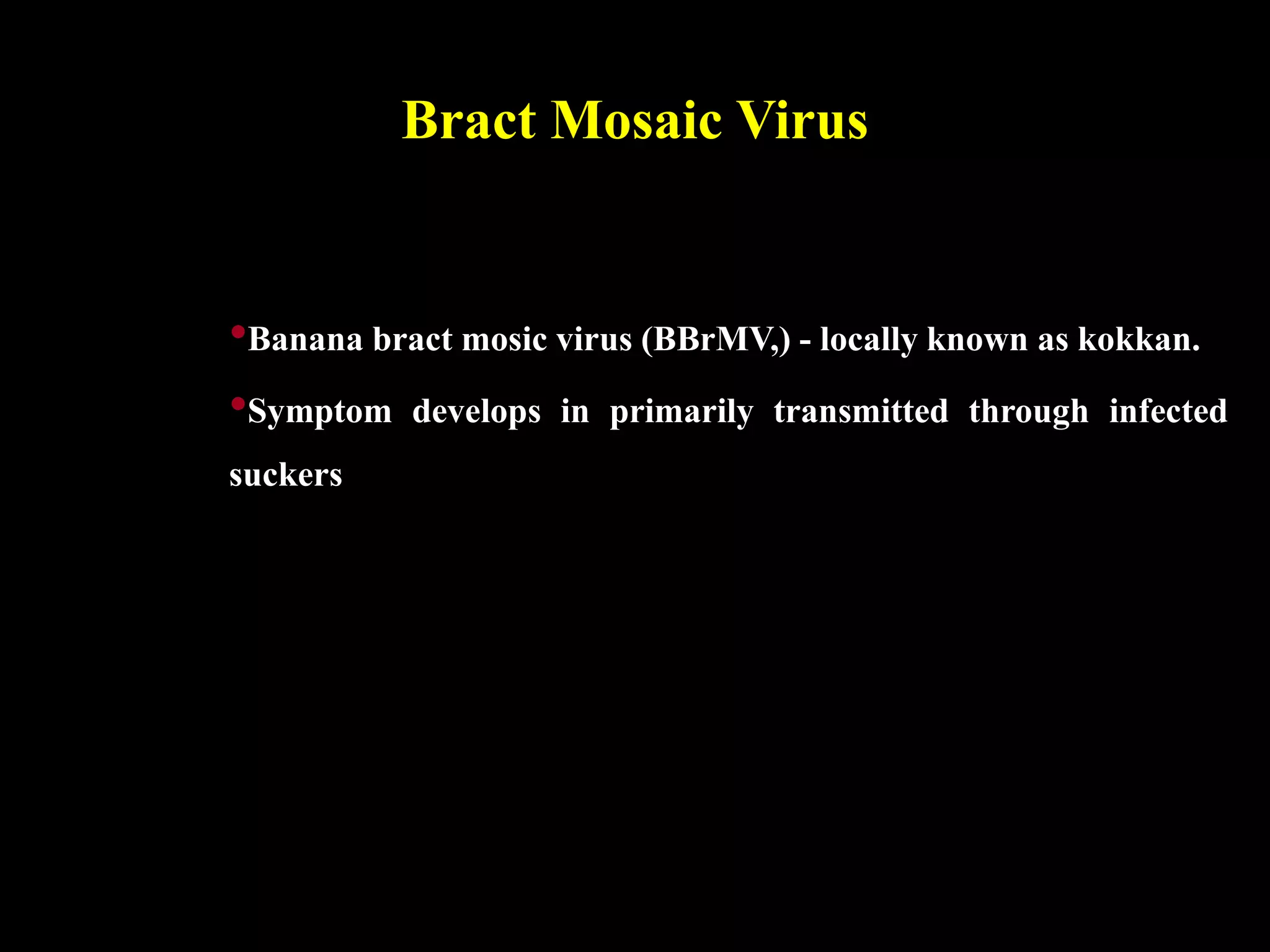 Viral diseases of banana | PPTX