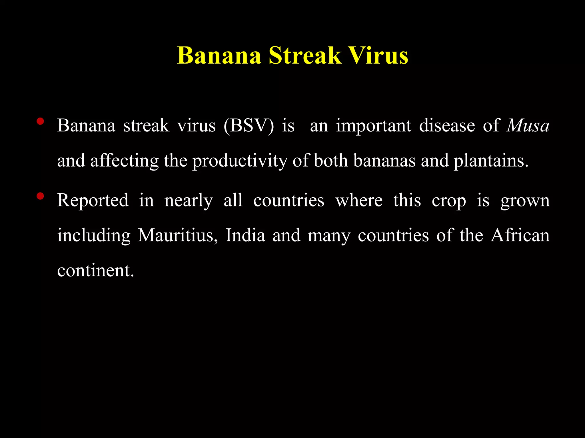 Viral diseases of banana | PPTX