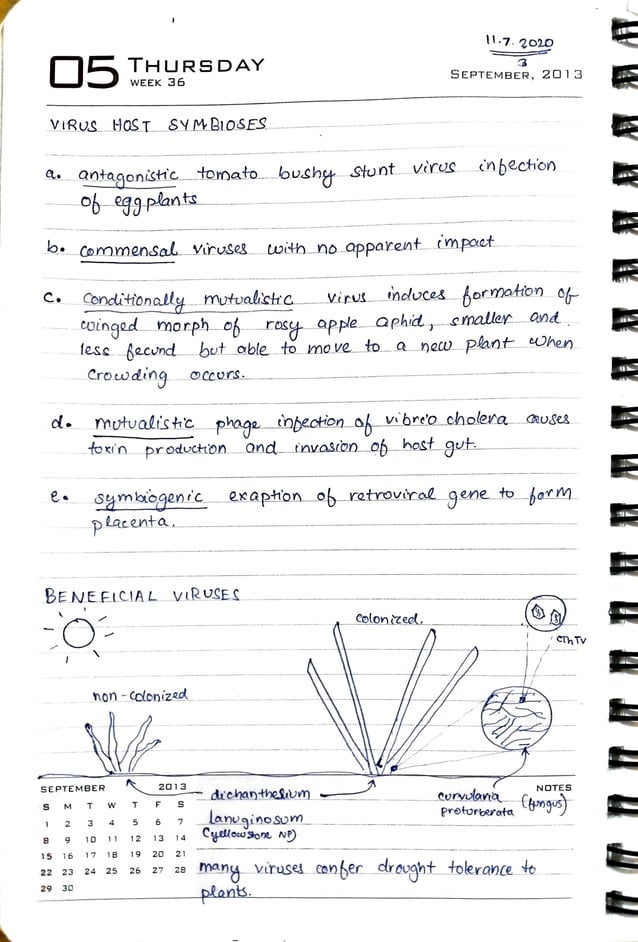 Virology Notes 2020 #23: Viral ecology | PDF