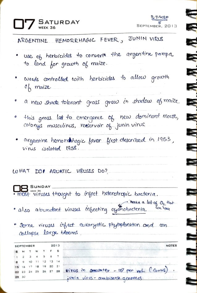 Virology Notes 2020 #23: Viral ecology | PDF