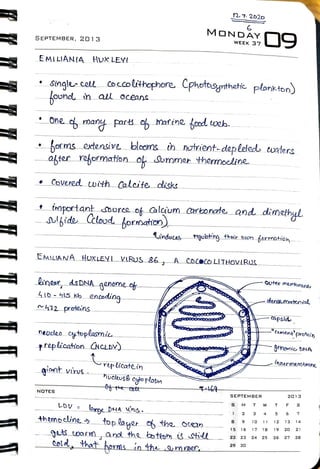 Virology Notes 2020 #23: Viral ecology | PDF