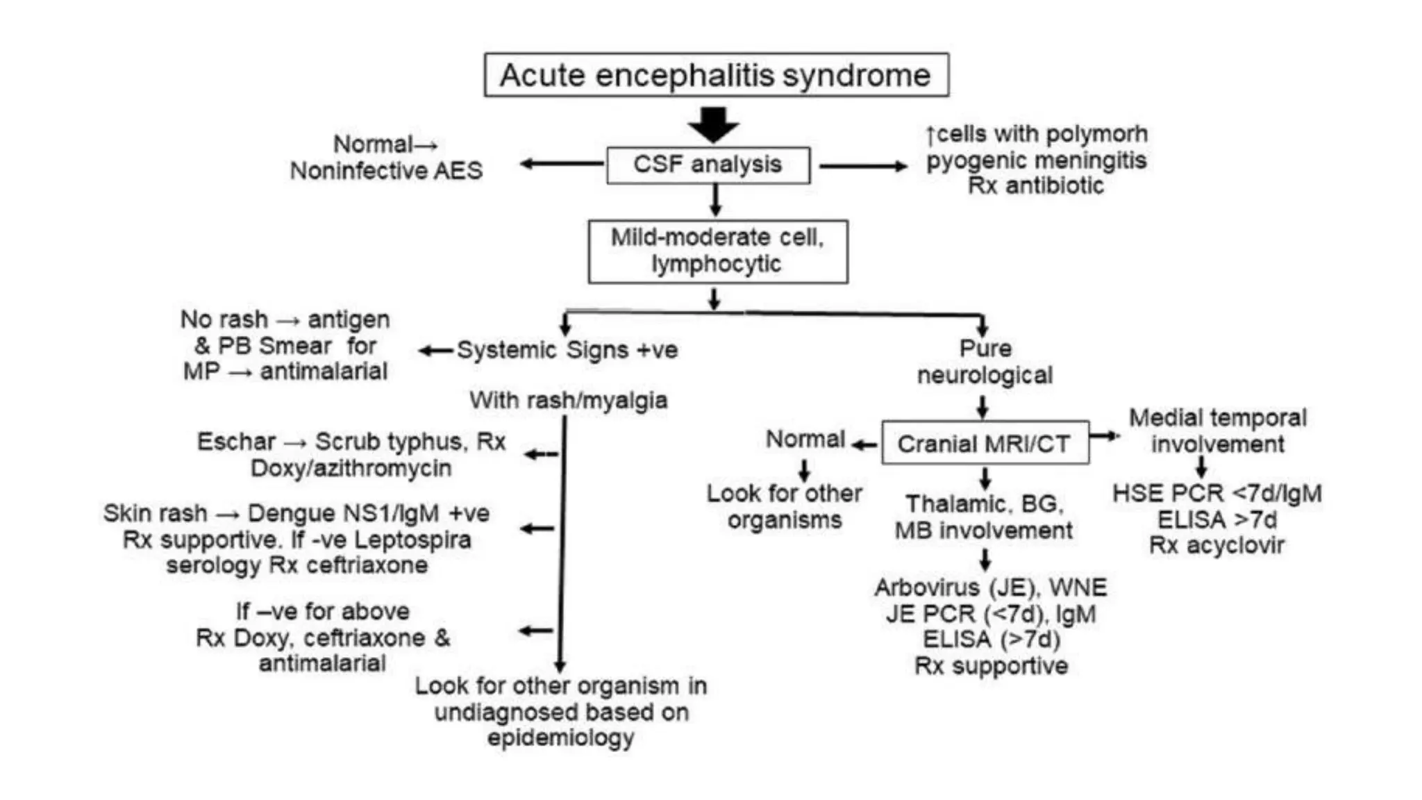 VIRAL ENCEPHALITIS BY DR.SOHAN BISWAS,MBBS,DNB(INTERNAL MEDICINE) RESIDENT.pptx