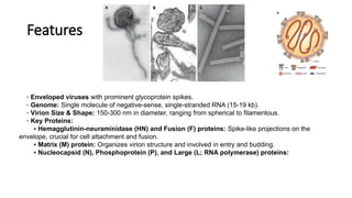 Viral exanthems / Maculopapular and Vesicular disorders.pptx