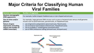 Viral exanthems / Maculopapular and Vesicular disorders.pptx