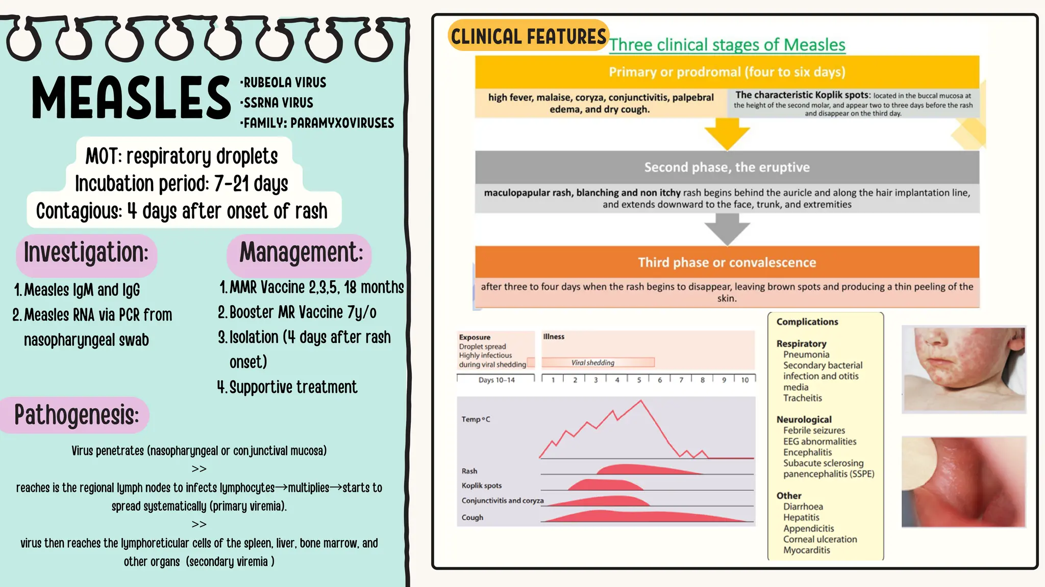 viral exanthems G1_20240325_134641_0000.pdf