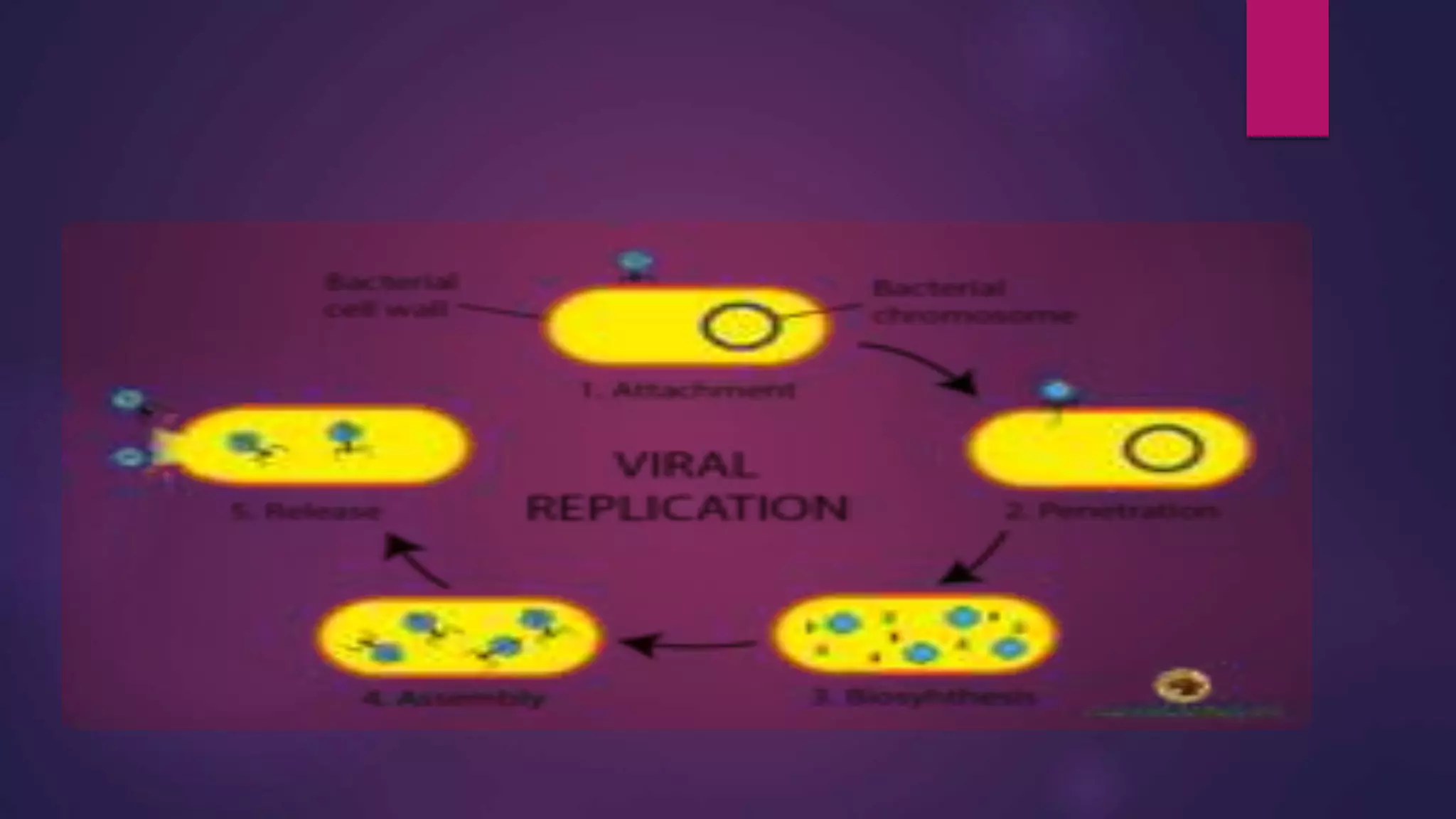 VIRAL, FUNGAL AND PARASITIC INFECTIONS.pptx | Infectious Diseases ...