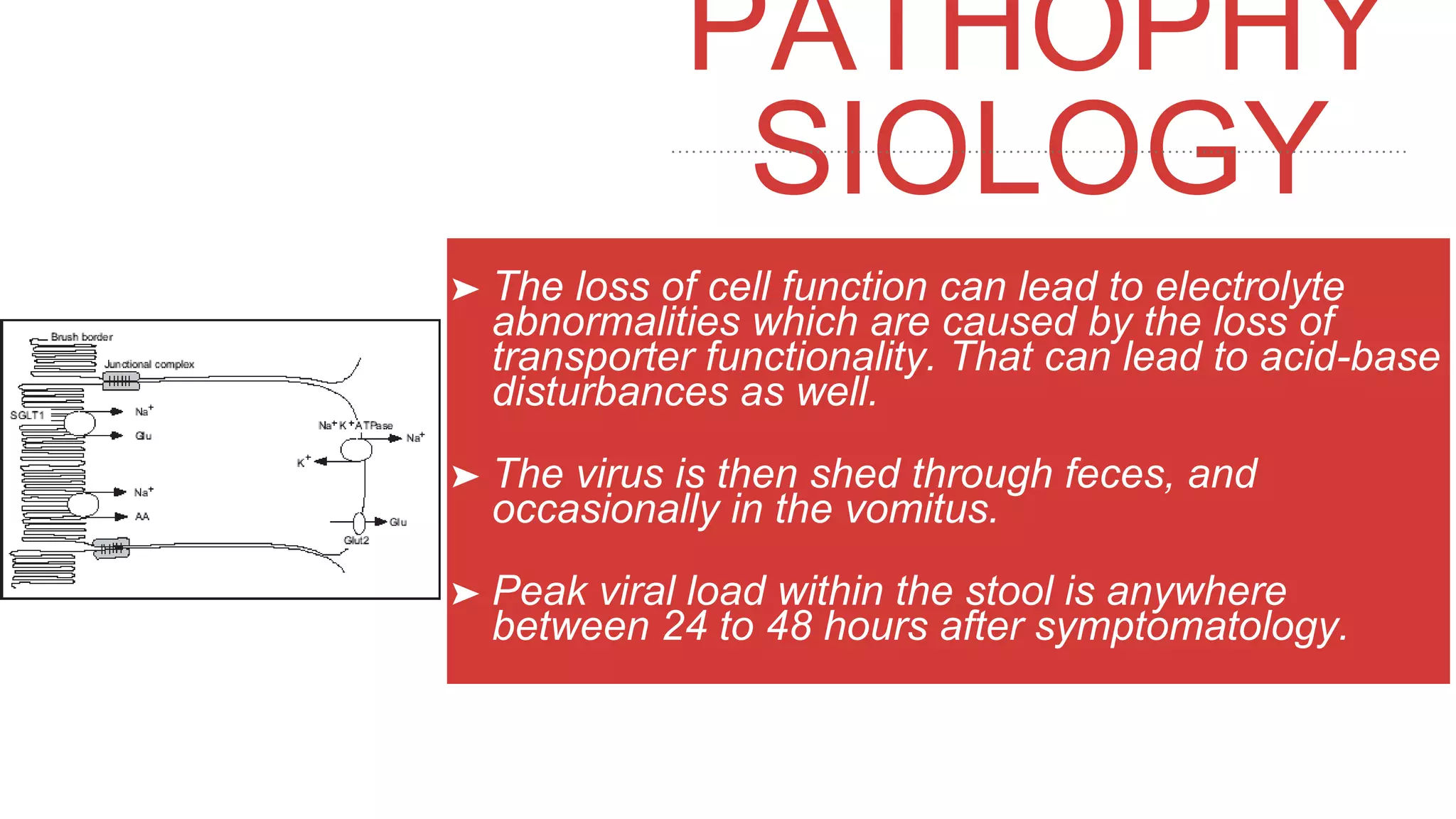 Viral Gastroenteritis | PPTX
