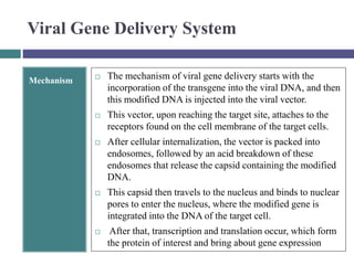 Gene Expression System-viral gene delivery Mpharm(Pharamaceutics) | PPTX