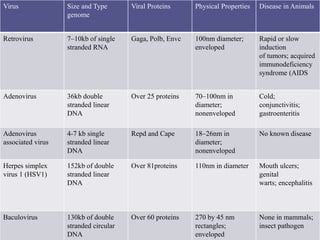 Gene Expression System-viral gene delivery Mpharm(Pharamaceutics) | PPTX