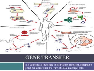 Gene Expression System-viral gene delivery Mpharm(Pharamaceutics) | PPTX