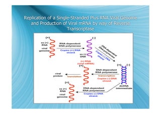 Viral molecular genetics | PDF