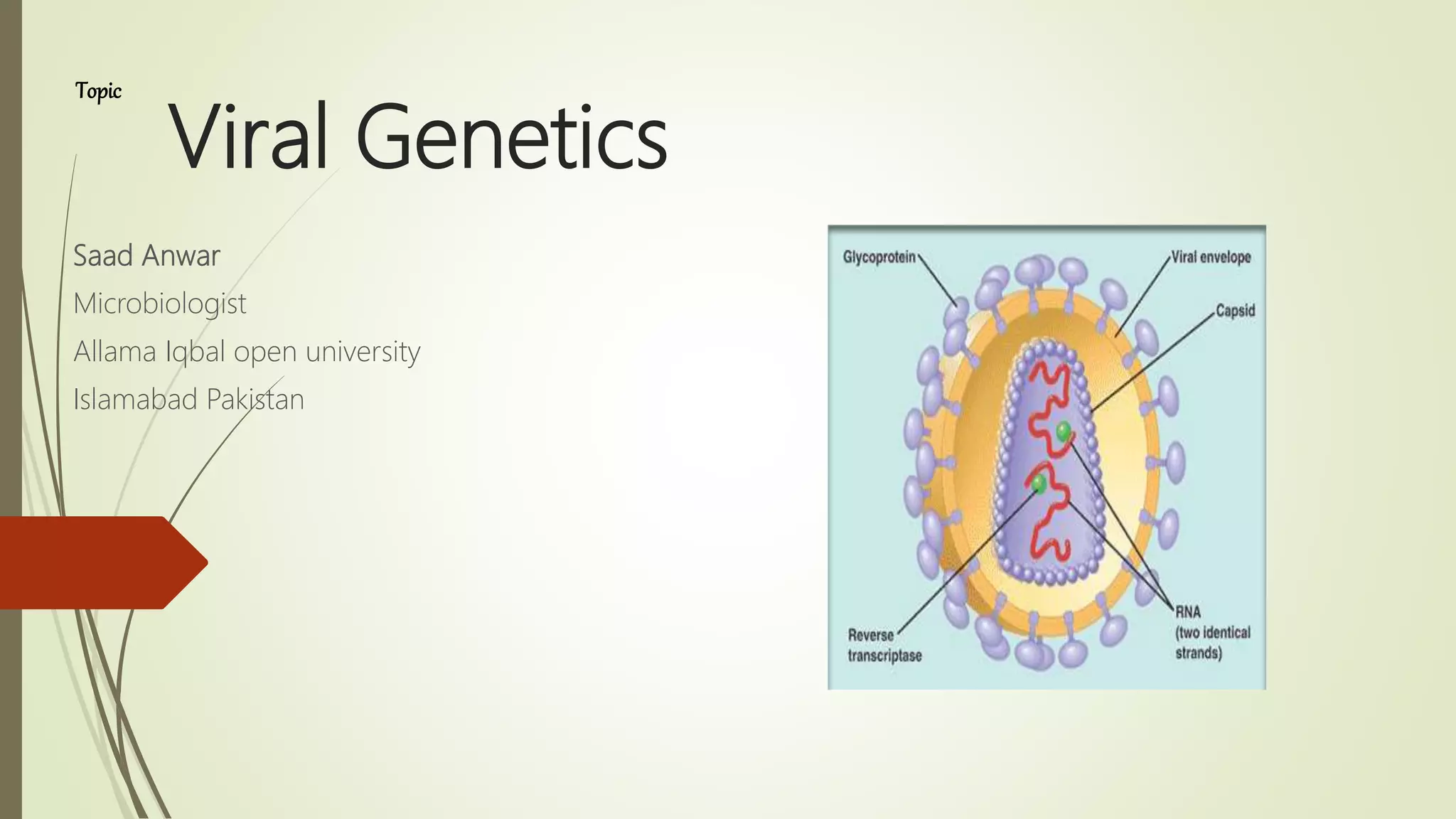 Viral genetics | PPTX