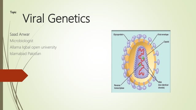 Viral genetics | PPTX | Genetics | Science