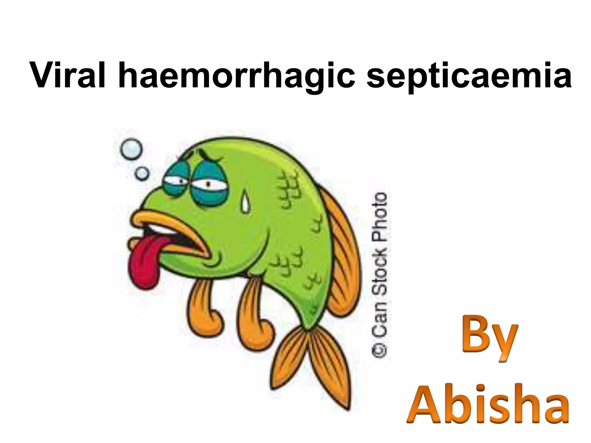 Viral heamorrhagic septicemia | PPTX