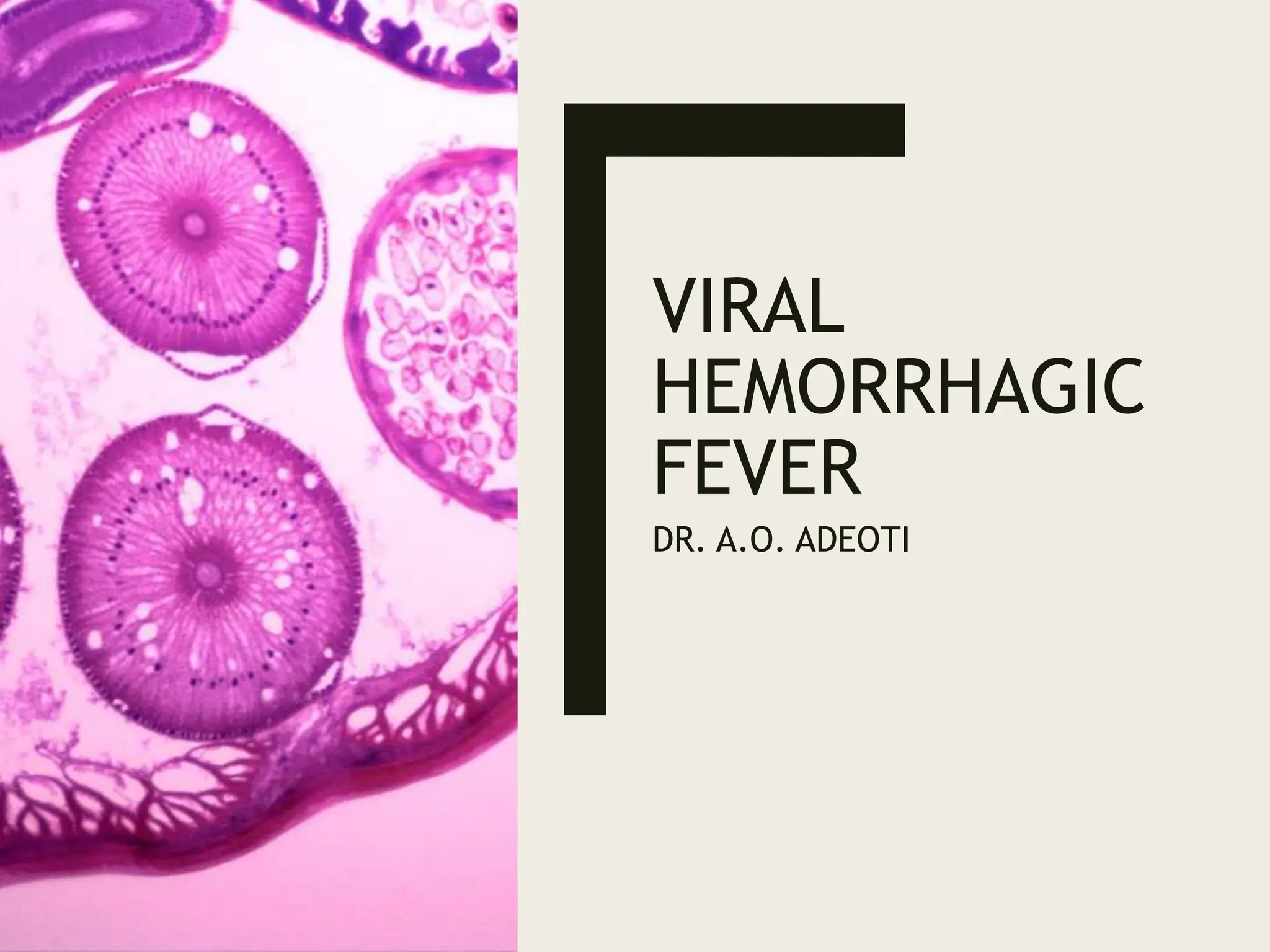 VIRAL HEMORRHAGIC FEVER PPT-1.pptx