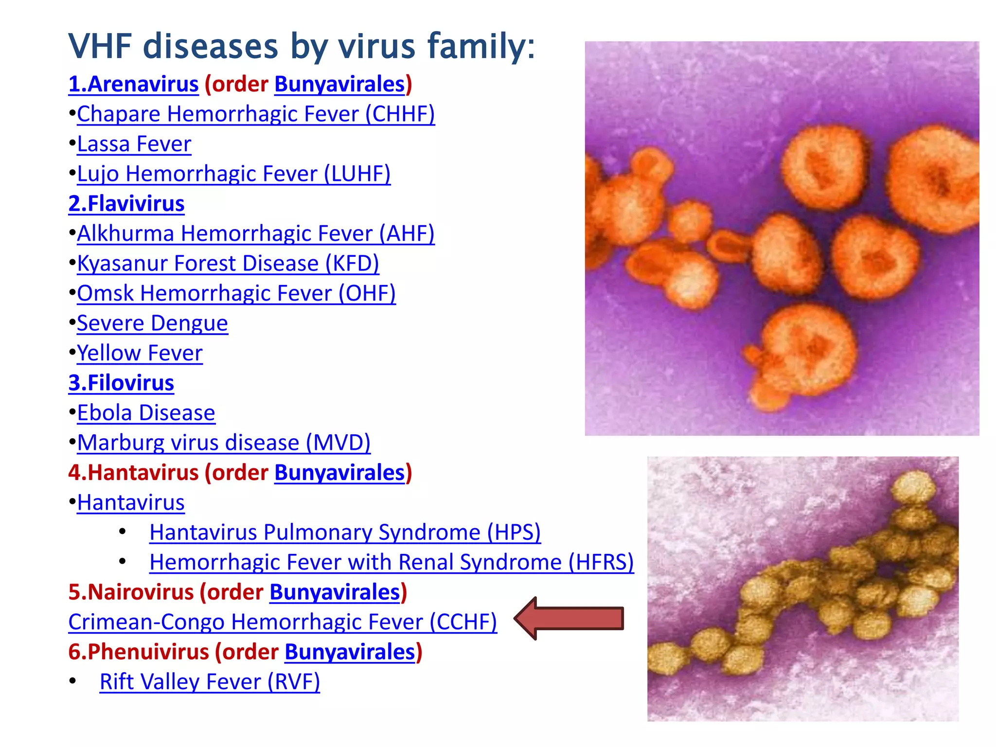 Viral hemorrhagic fevers.pptx