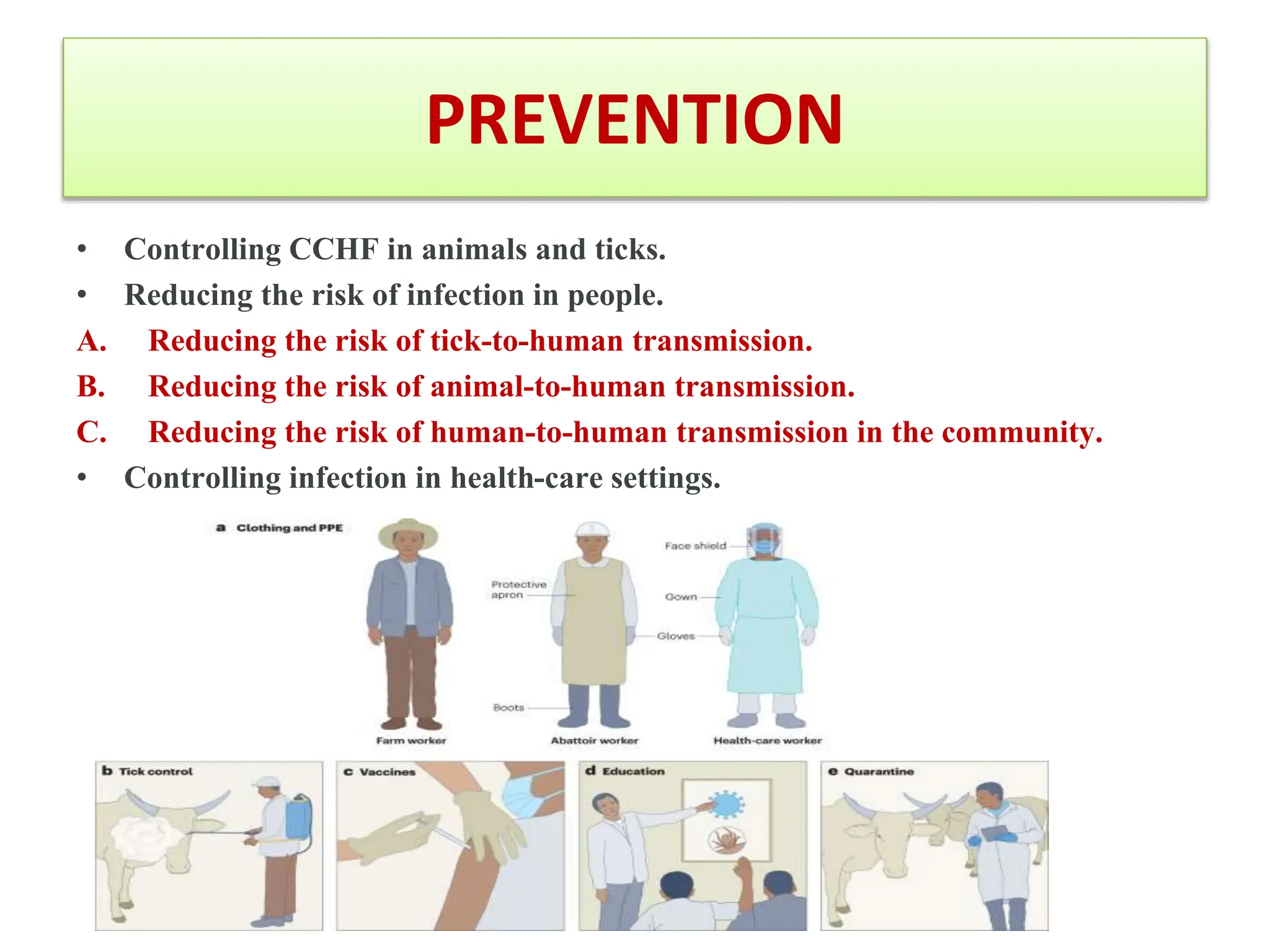 Crimean-Congo hemorrhagic fever (CCHF) Approach | PPTX