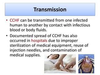 Crimean-Congo hemorrhagic fever (CCHF) Approach | PPTX