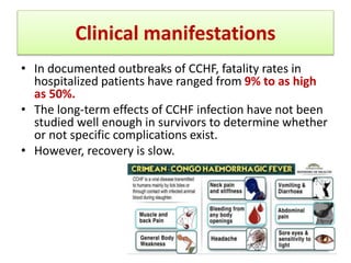 Crimean-Congo hemorrhagic fever (CCHF) Approach | PPTX