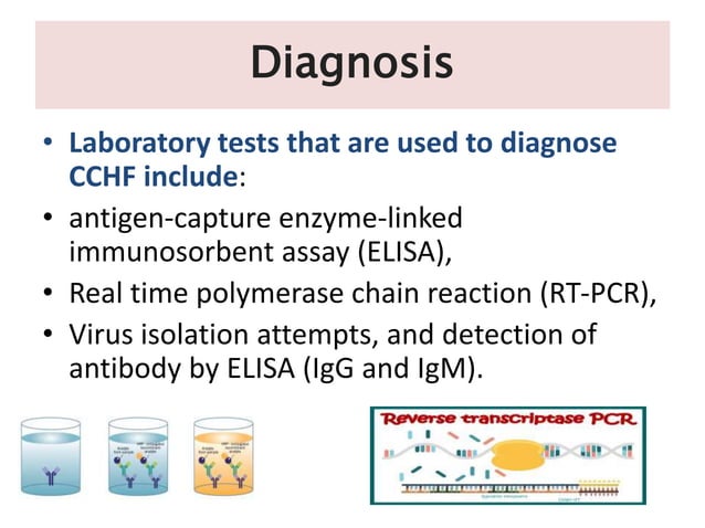Crimean-Congo hemorrhagic fever (CCHF) Approach | PPTX | Infectious ...