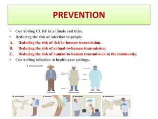 Crimean-Congo hemorrhagic fever (CCHF) Approach | PPTX