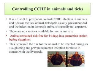 Crimean-Congo hemorrhagic fever (CCHF) Approach | PPTX